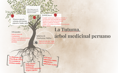 La Tutuma, by Teresa Pérez on Prezi