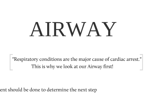 PALS AIRWAY by Richard Birdsall on Prezi