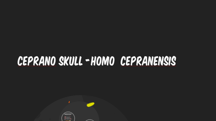 Ceprano Skull -Homo Cepranensis by Fernanda Napoles on Prezi