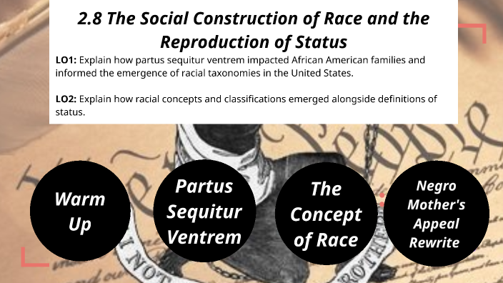 2.8 The Social Construction of Race and the Reproduction of Status 24 ...