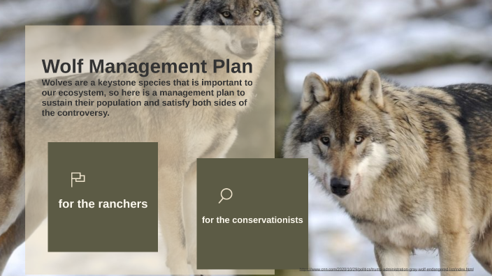 Wolf Management Plan by pavani mitchum on Prezi