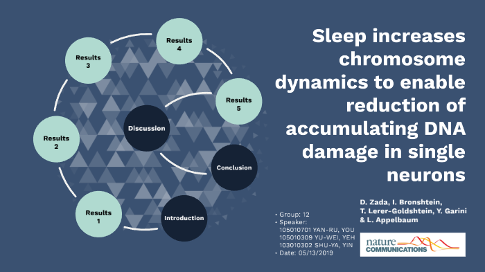 Sleep increases Sleep increases chromosome dynamics to enable reduction ...