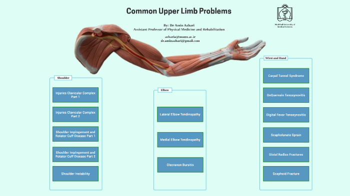 Video of Common Upper Limb Problems (for Family Physicians) by Dr Amin ...