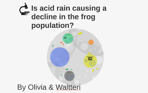 Is acid rain causing a decline in the frog population? by Olivia Oras ...