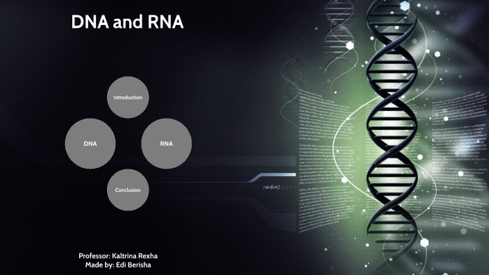 DNA and RNA by Edi Berisha on Prezi