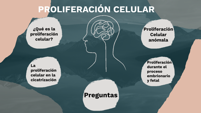 proliferación celular by camila jss on Prezi