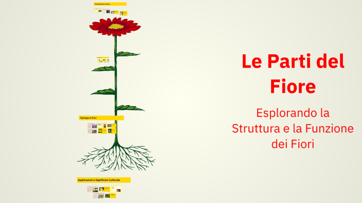 Le Parti del Fiore by Martin Pivett on Prezi