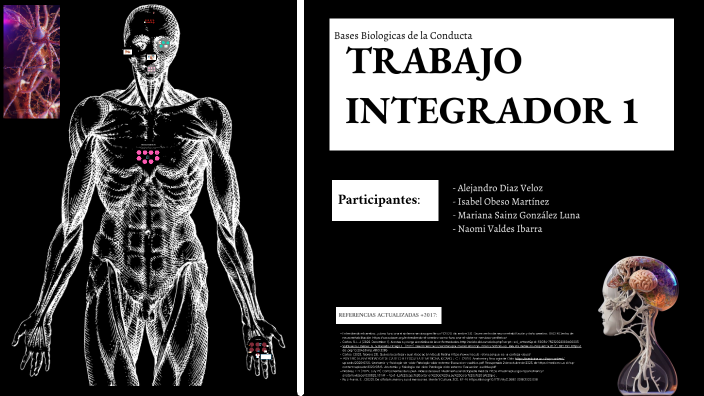 Bases by Alejandro Veloz on Prezi