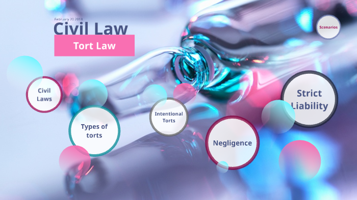 Civil Law/Tort Law Project by Magdieliz Diaz on Prezi