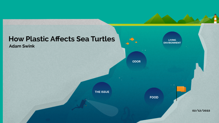 How Plastic Affects Sea Turtles by Adam Swink on Prezi