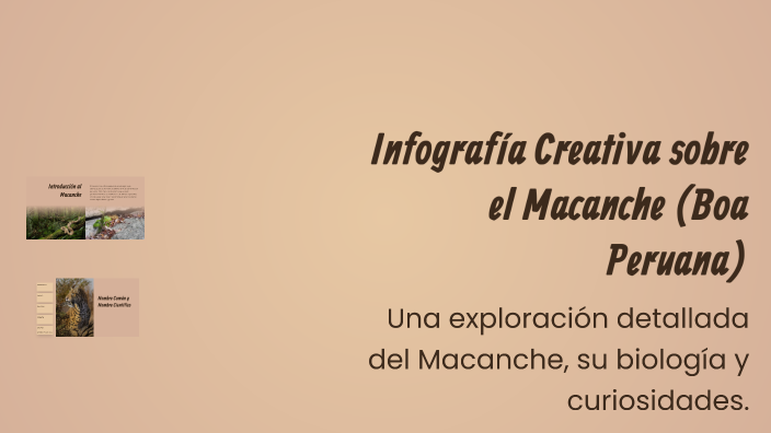 Infografía Creativa sobre el Macanche (Boa Peruana) by leydi maybet ...