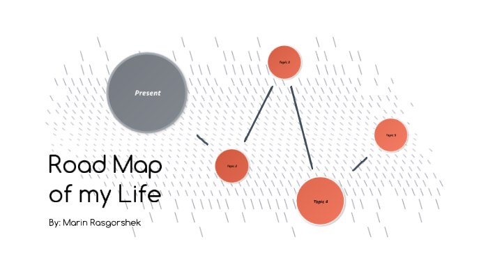 Road map of my Life by Marin Rasgorshek on Prezi
