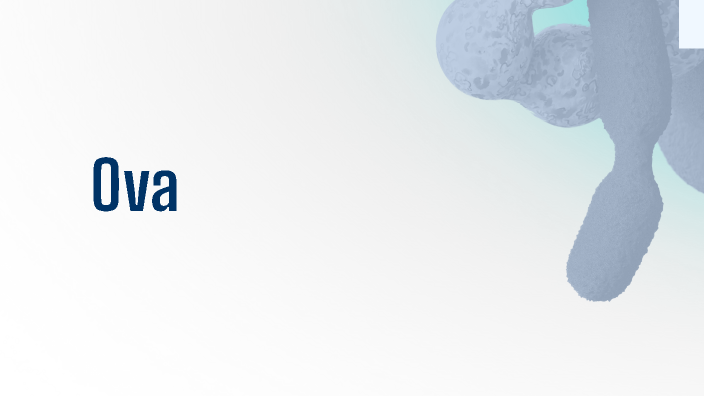 ¿Qué es una Ova? by Carol Hurtado on Prezi