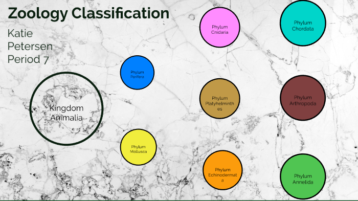 Zoology Phylum Prezi, B7 by Katie Petersen on Prezi