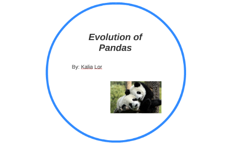 Evolution of Pandas by Kalia Lor on Prezi
