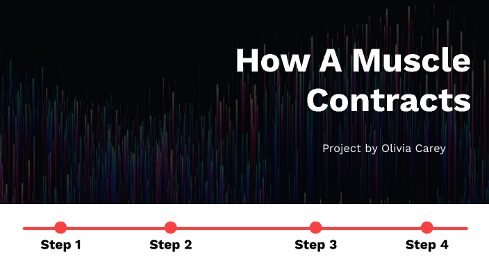 final muscle contraction project by Olivia Carey on Prezi