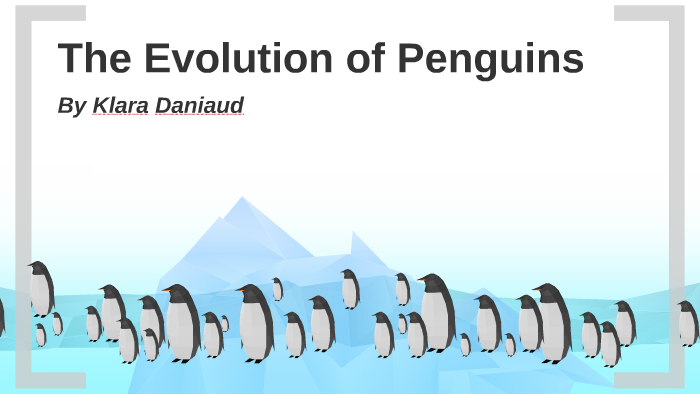 The evolution of penguins by Klara Daniaud on Prezi
