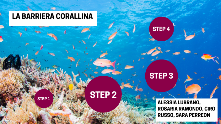 barriera corallina by alessia lubrano on Prezi