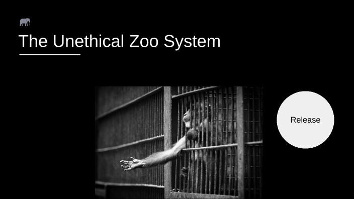 The Unethical Zoo System by Karagan Bean on Prezi