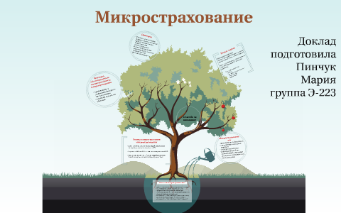 Микрострахование by Maria Pinchuk on Prezi