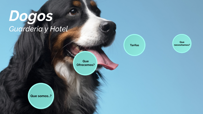 DayCare Dog by Michelle Presutti on Prezi