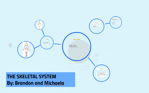 skeletal system by Michaela Garrison on Prezi