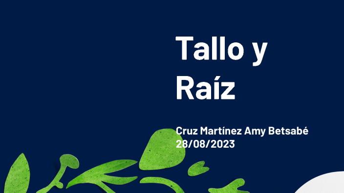 Tallo y Raíz by AMY BETSABE CRUZ MARTINEZ on Prezi