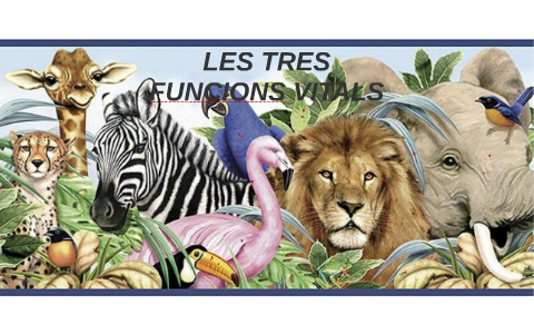 LES TRES FUNCIONS VITALS by Laura Gili on Prezi