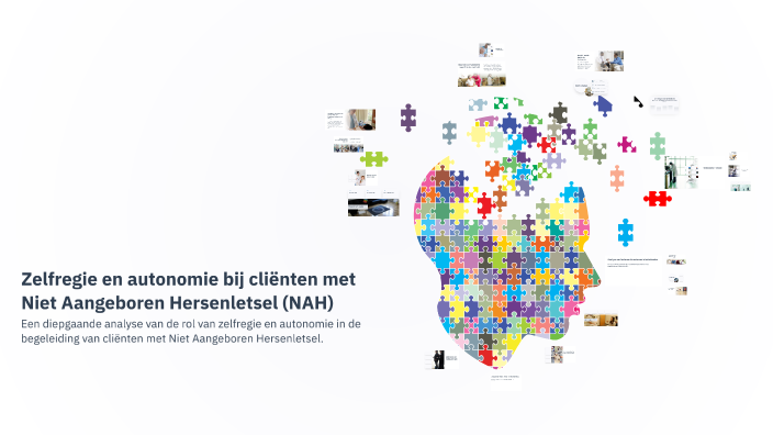 Zelfregie en autonomie bij cliënten met Niet Aangeboren Hersenletsel ...