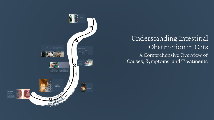 Understanding Intestinal Obstruction in Cats by Josian Maged on Prezi