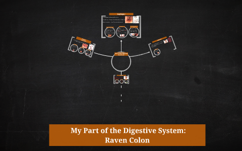 My Part of the Digestive System: by Raven Colon on Prezi