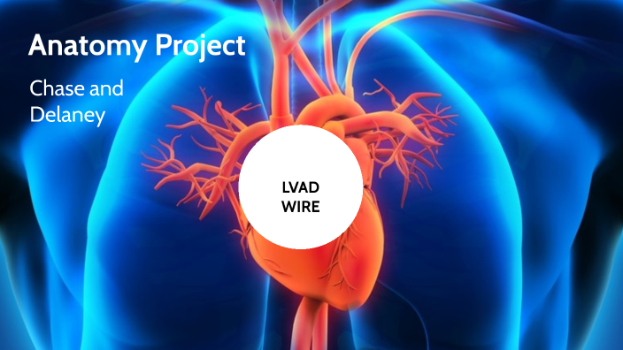 LVAD by Delaney Simpson on Prezi