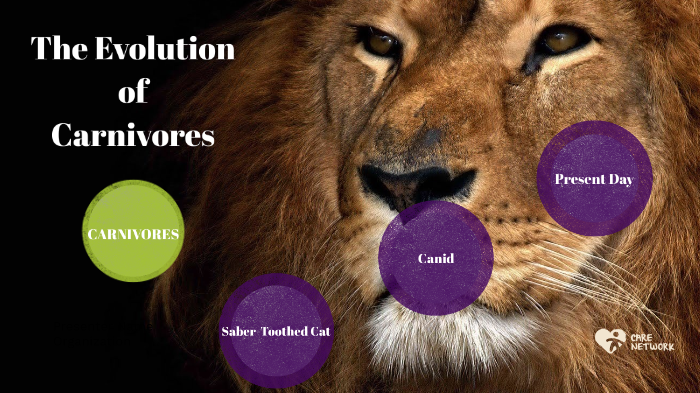 The Evolution of Carnivores by Jessica Gibson on Prezi