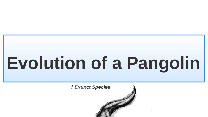 Evolution of the Pangolin by Sue Ormond on Prezi
