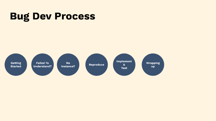 Bug Dev Process by Guy Keller on Prezi