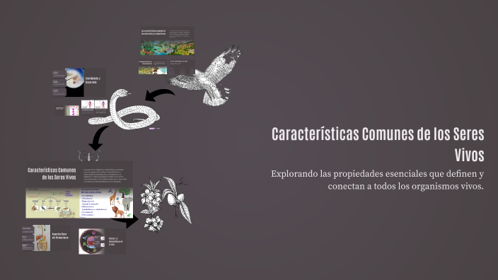 Características Comunes de los Seres Vivos by Ema Moreno on Prezi
