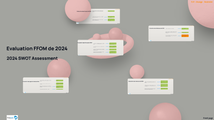 Evaluation FFOM de 2024 by Haingotiana Rabeony on Prezi