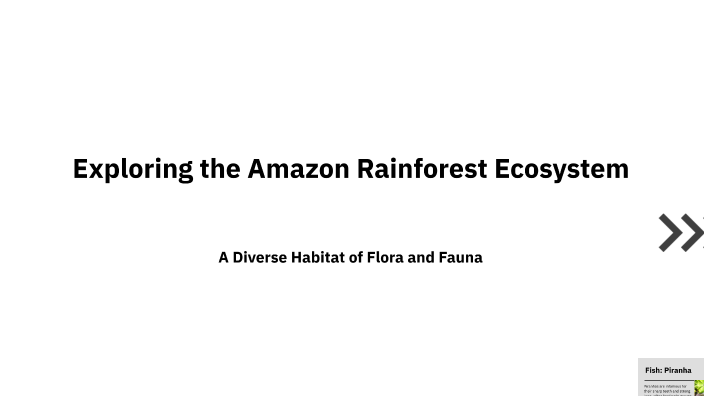 Exploring the Amazon Rainforest Ecosystem by yevh8120 yevh8120 on Prezi