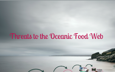 Tide Pool Food Web by Jess Morris on Prezi
