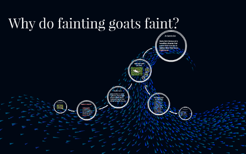 Why do fainting goats faint? by Hunter Kington