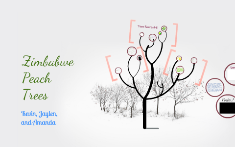 Zimbabwe Peach Trees by amanda cather on Prezi