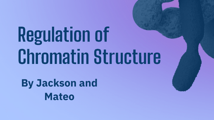 Regulation of Chromatin Structure by Jackson Lawrence on Prezi