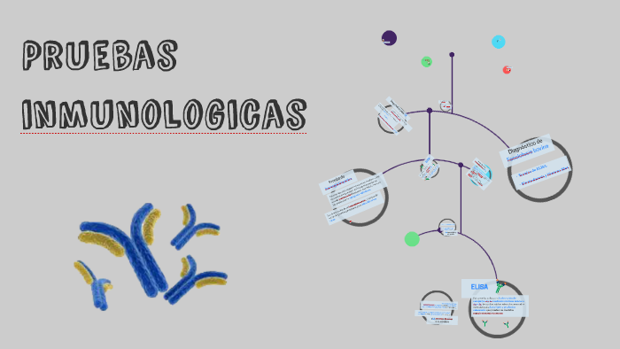 Pruebas Inmunologicas by Daniel Flores on Prezi