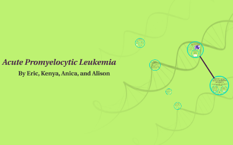 Acute Promyelocytic Leukemia by Alison Warren on Prezi