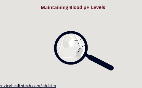 Maintaining Blood pH Levels by Emma Ironside on Prezi