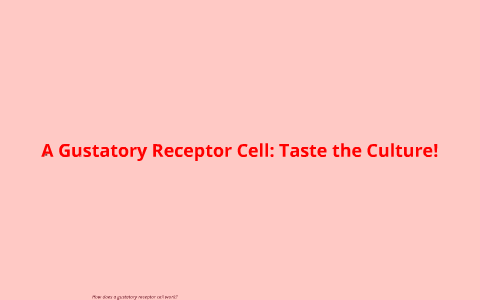 Visit the Tongue! by Christina Campagna on Prezi