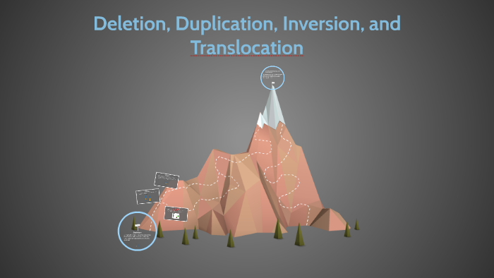 Deletion, Duplication, Inversion, and Translocation by Rebecca Pei on Prezi