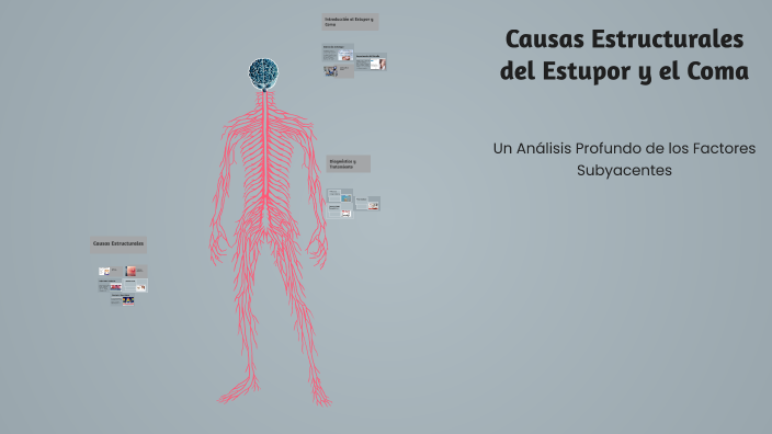 Causas Estructurales del Estupor y el Coma by CRISTIAN HERNANDEZ on Prezi