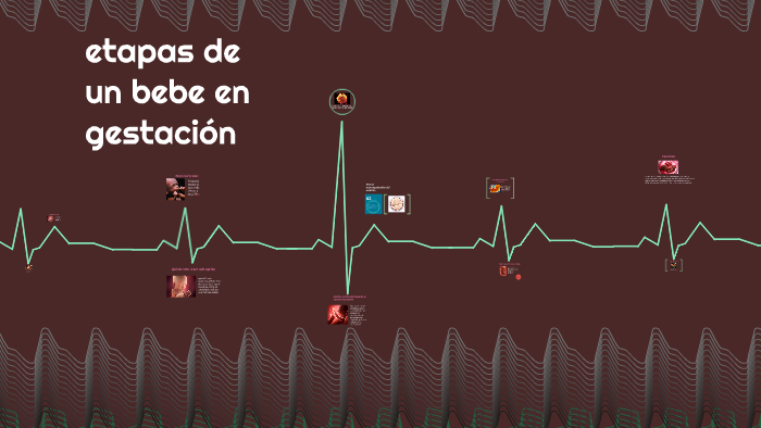 ETAPAS DE LA EVOLUCIÓN DE UN BEBé en gestación by Johan Raul Beltran Paez