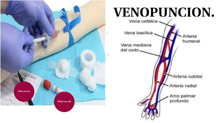 venopuncion. by Nadia Soria on Prezi
